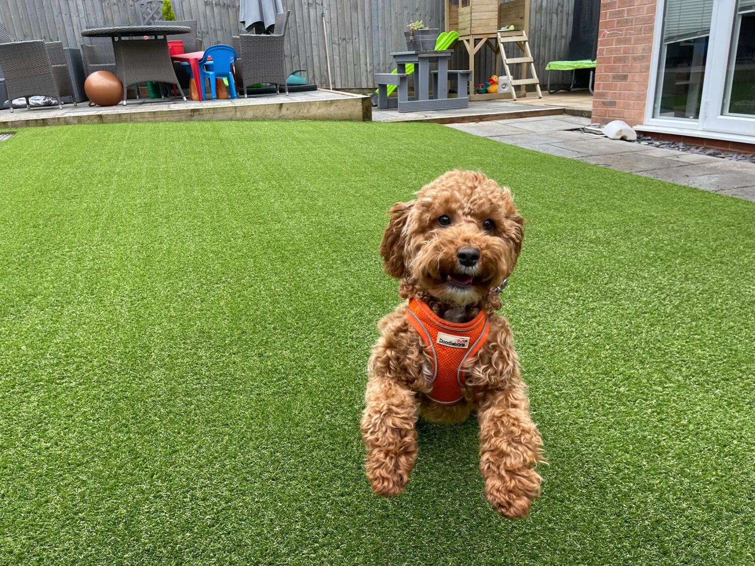 Top Benefits of Installing Artificial Grass in Your Milton Keynes Homes ...